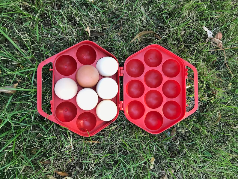 Eggs Basket Basket for Eggs Eggs Storage Eggs Holder for 10 - Etsy