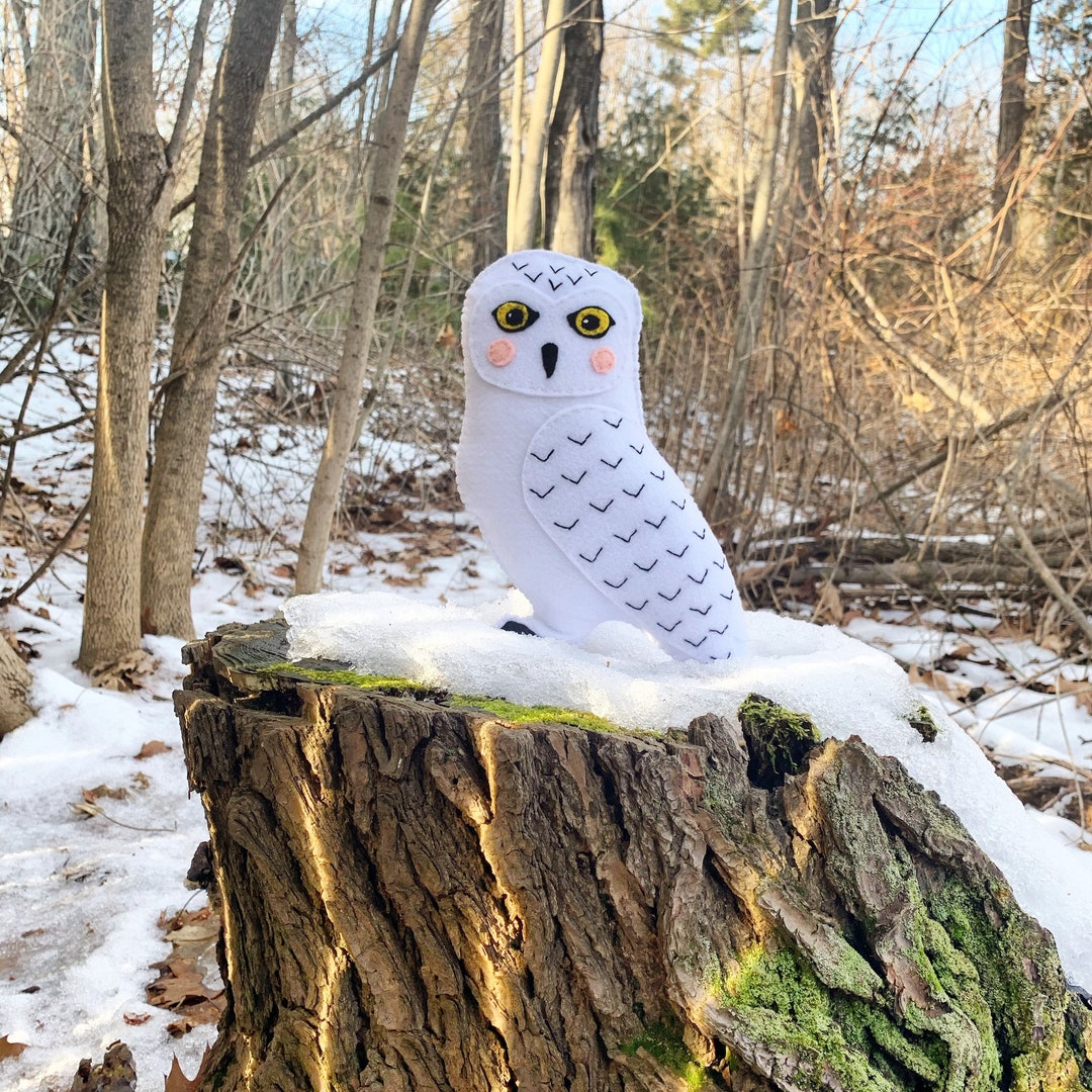 Ludwig the Snowy Owl - PDF Pattern - Etsy