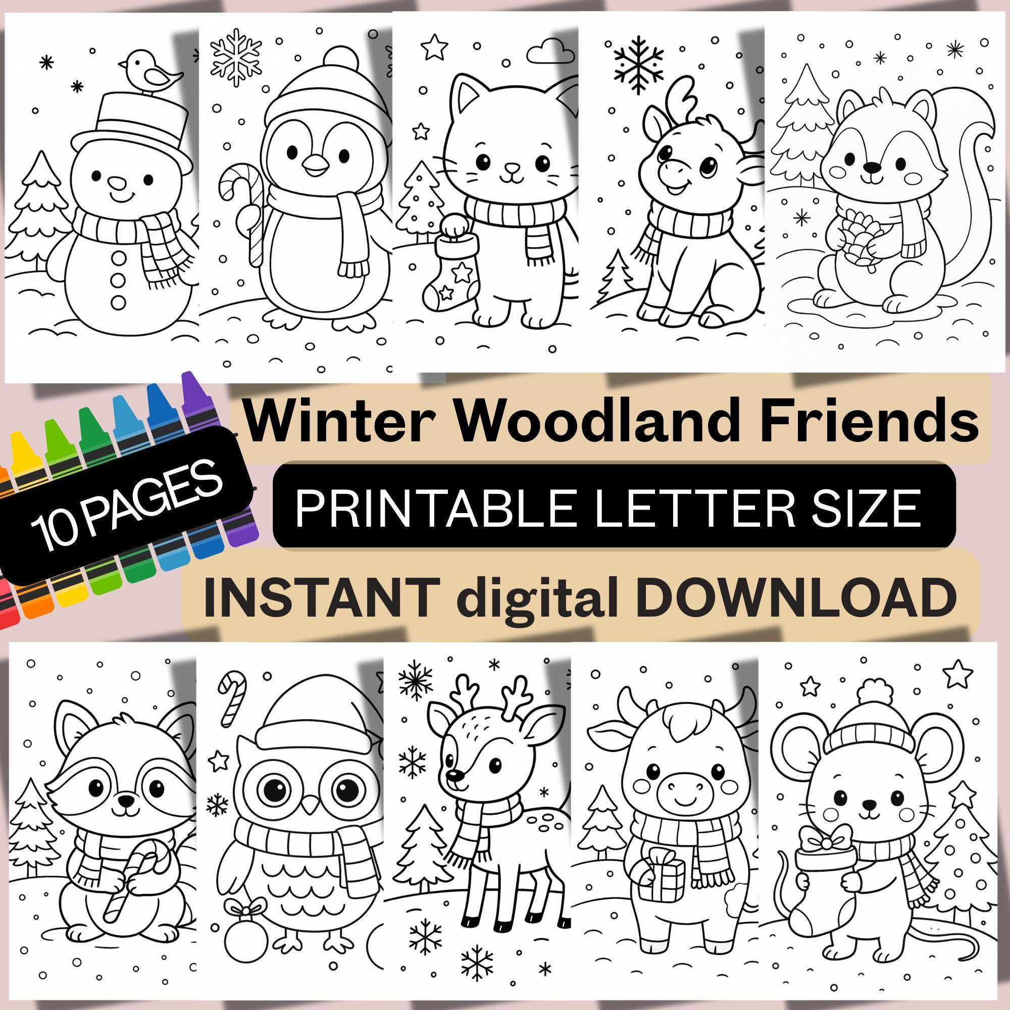 Coloring Pages - Instant Download - Winter Woodland Friends 10 Pack - Etsy