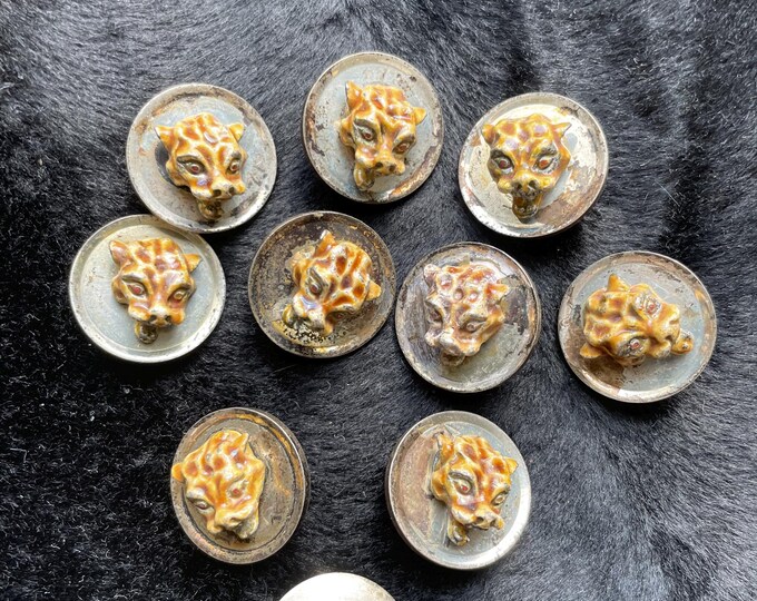 Authentic GUCCI Buttons Lot of 10 Silver Rajah Head Lion Tiger Leopard ...
