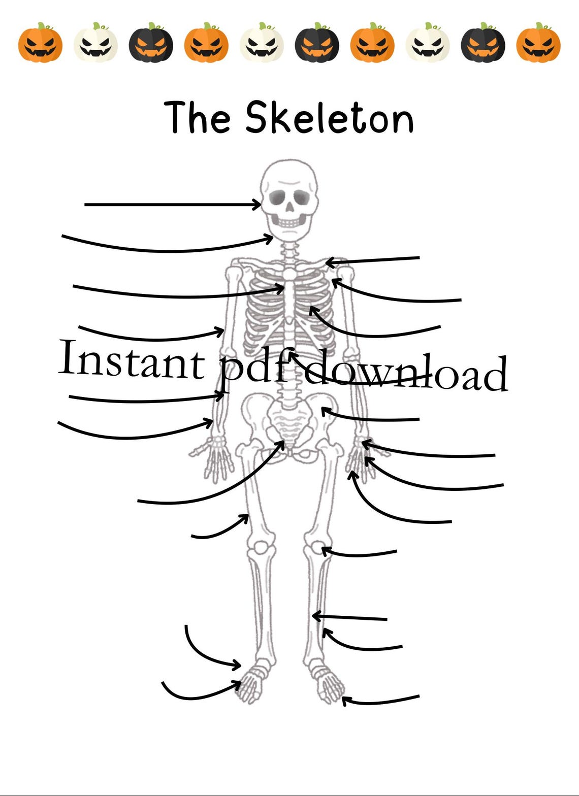 Skeleton Halloween Bone Anatomy Activity - Etsy