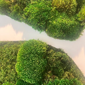 Modern Large Moss Art/modern Wall Decor/large Wall Decor/nature Decor ...