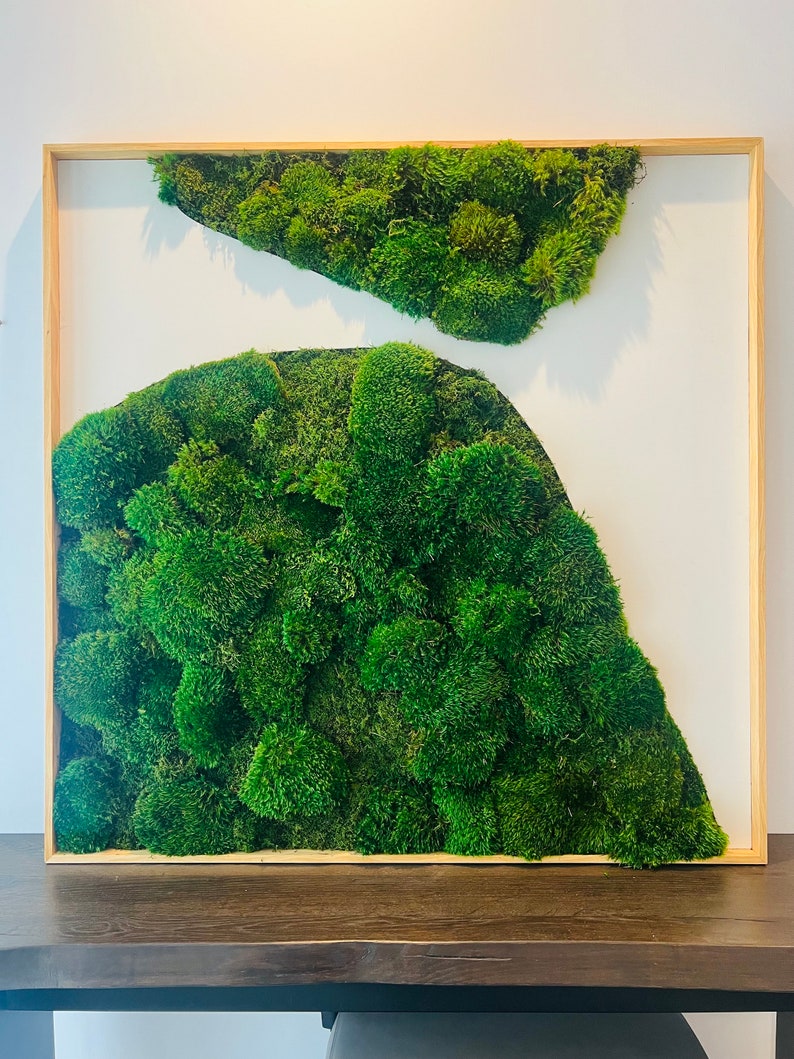 Modern Large Moss Art/modern Wall Decor/large Wall Decor/nature Decor ...