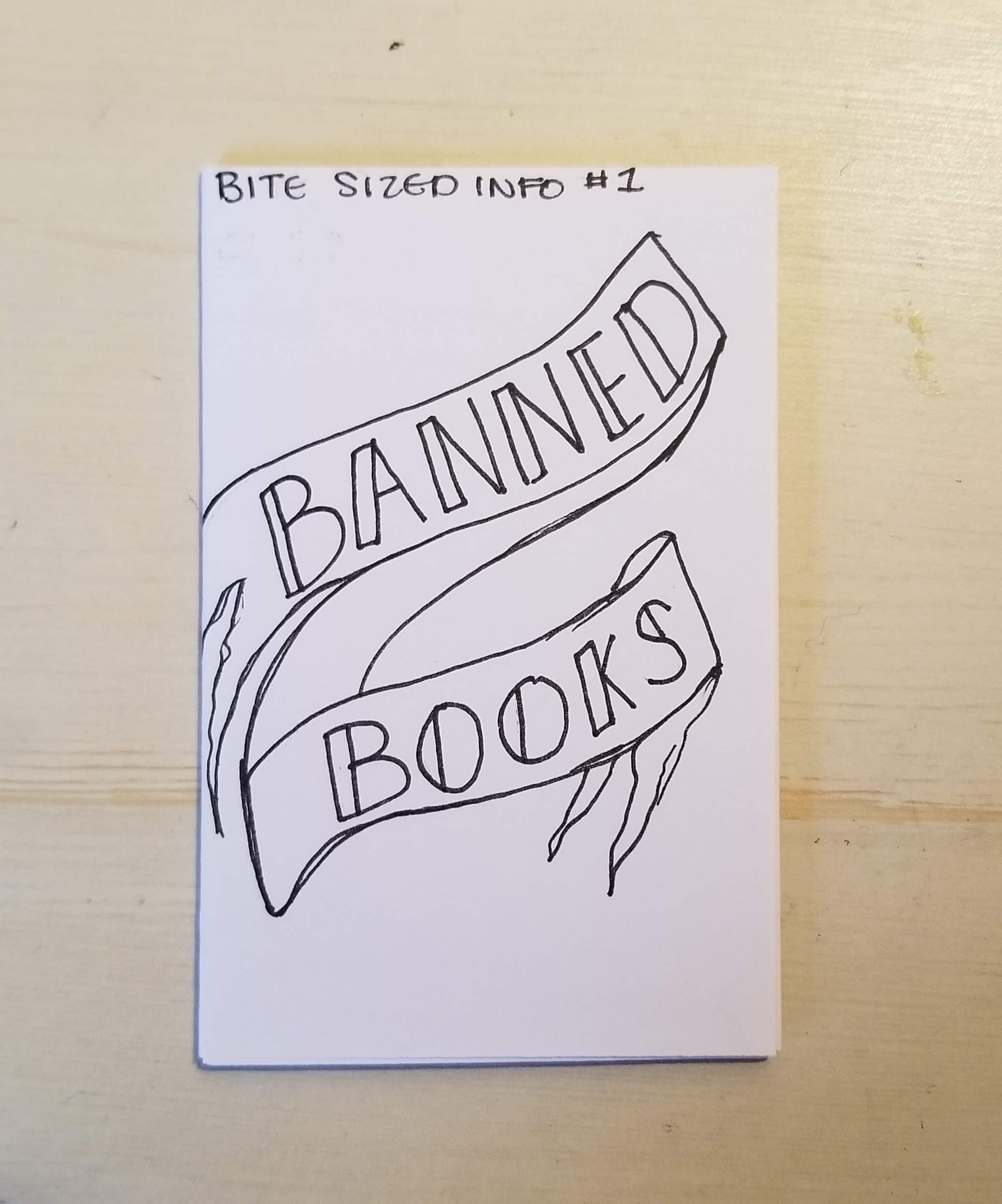 Banned Books Mini Zine - Etsy