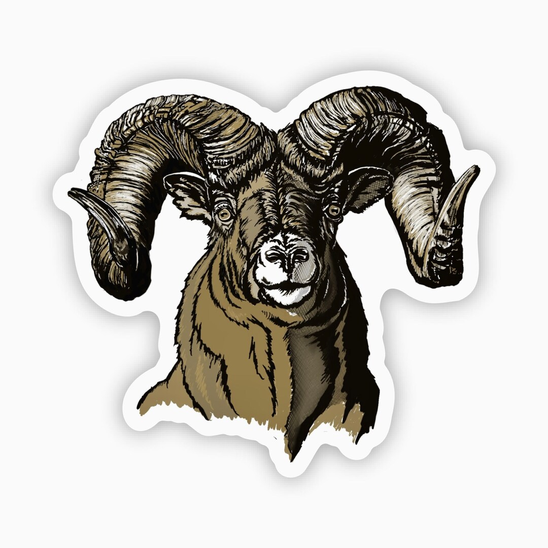 Bighorn Sheep Sticker - Etsy