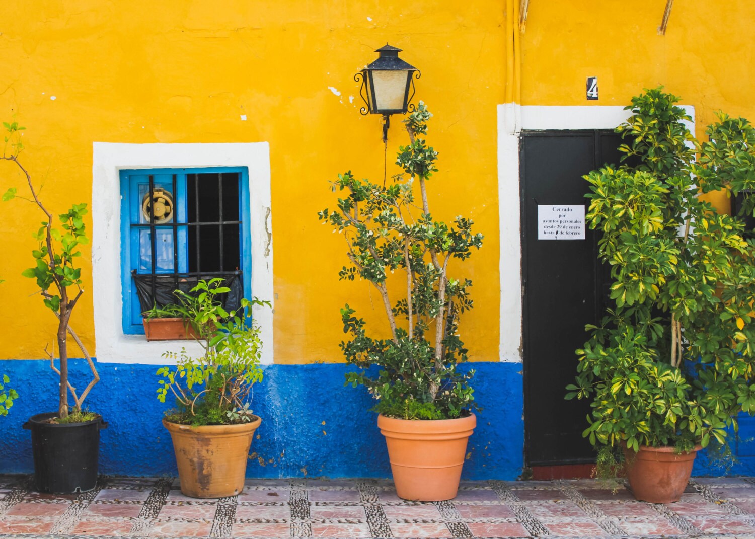 Bursts of Color in Marbella Spain Photography - Etsy