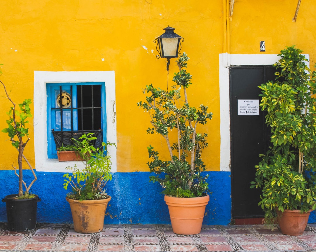 Bursts of Color in Marbella | Spain Photography - Etsy
