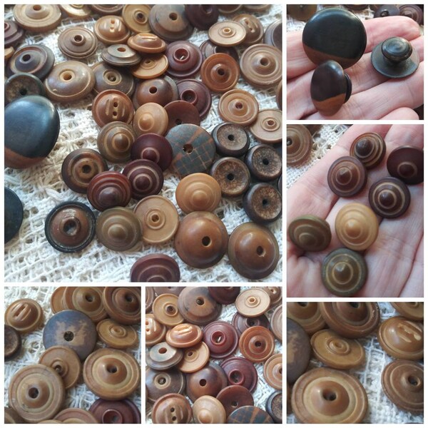 Antique Vegetable Ivory Buttons - Etsy