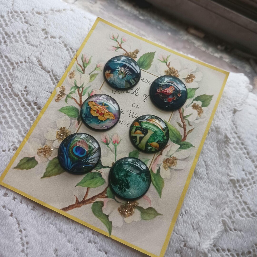 6 Modern Glass Dome Bubble Buttons 1 Inch Insect, Mushroom Image Under ...