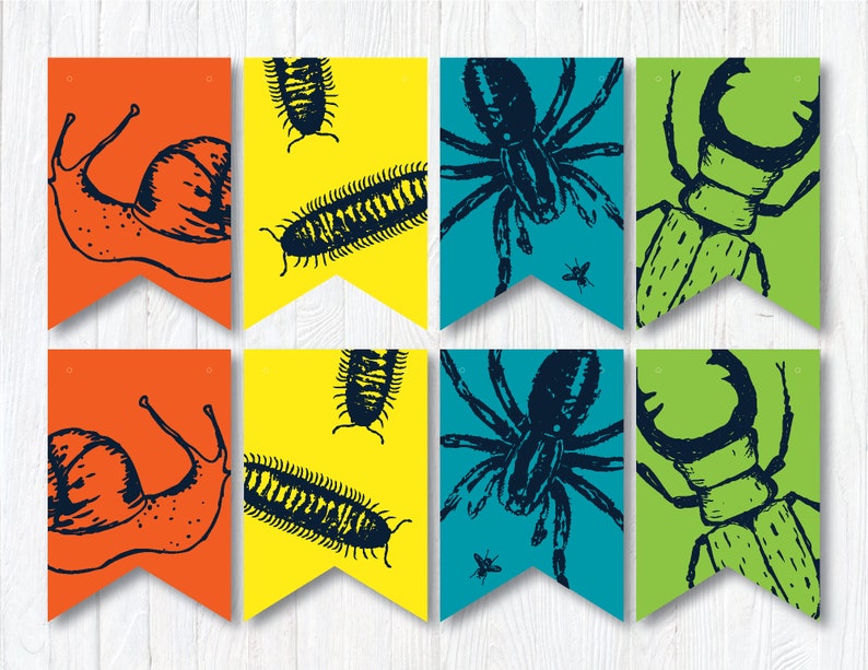 Insect 'creepy Crawlers' Bug Theme printable Happy - Etsy