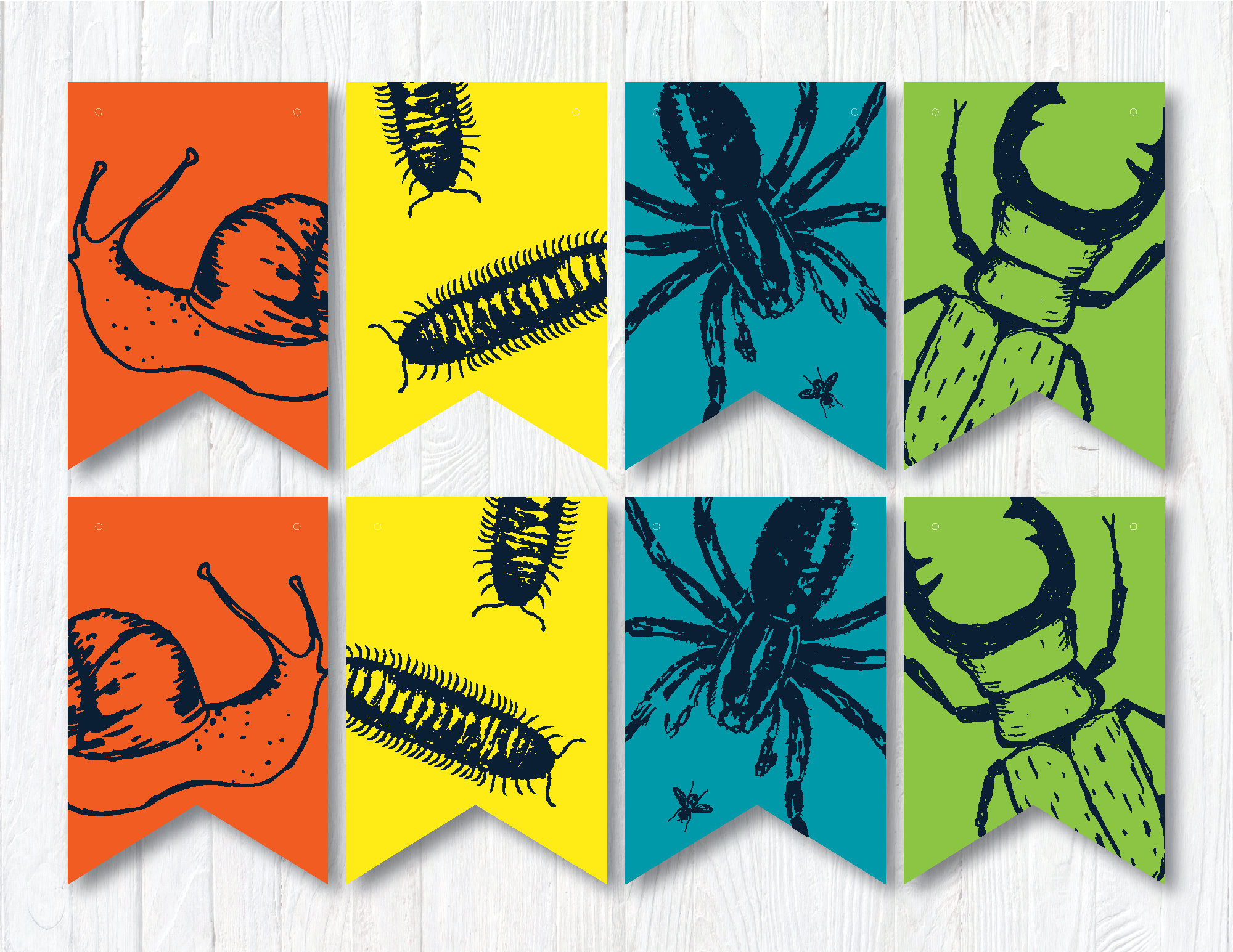 Insect 'creepy Crawlers' Bug Theme printable Happy - Etsy