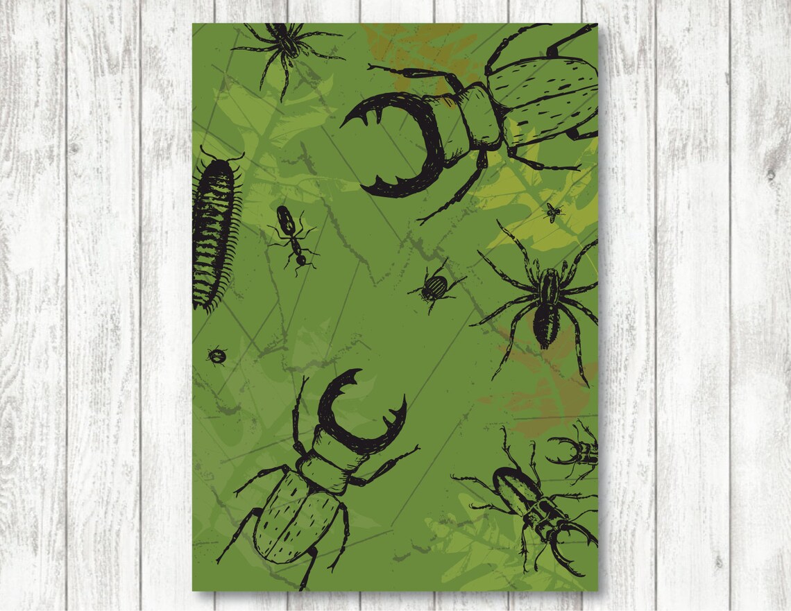 Insect 'creepy Crawlers' Theme printable Birthday | Etsy