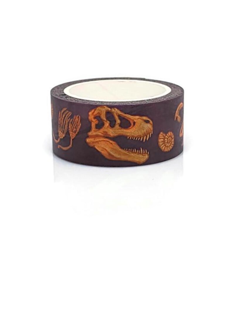 SAMPLE SIZE! - Fossils, Dinosaurs, Critters, Sunset, Toadstools ...