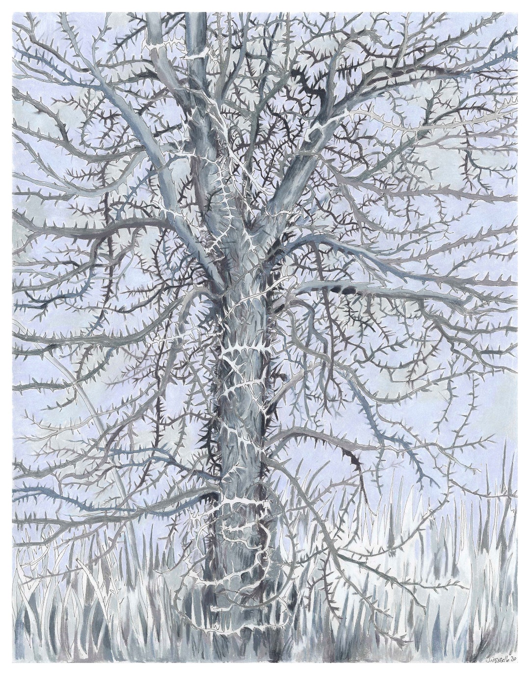 Honey Locust Tree Winter Landscape Art Print - 11x14 Signed Limited ...