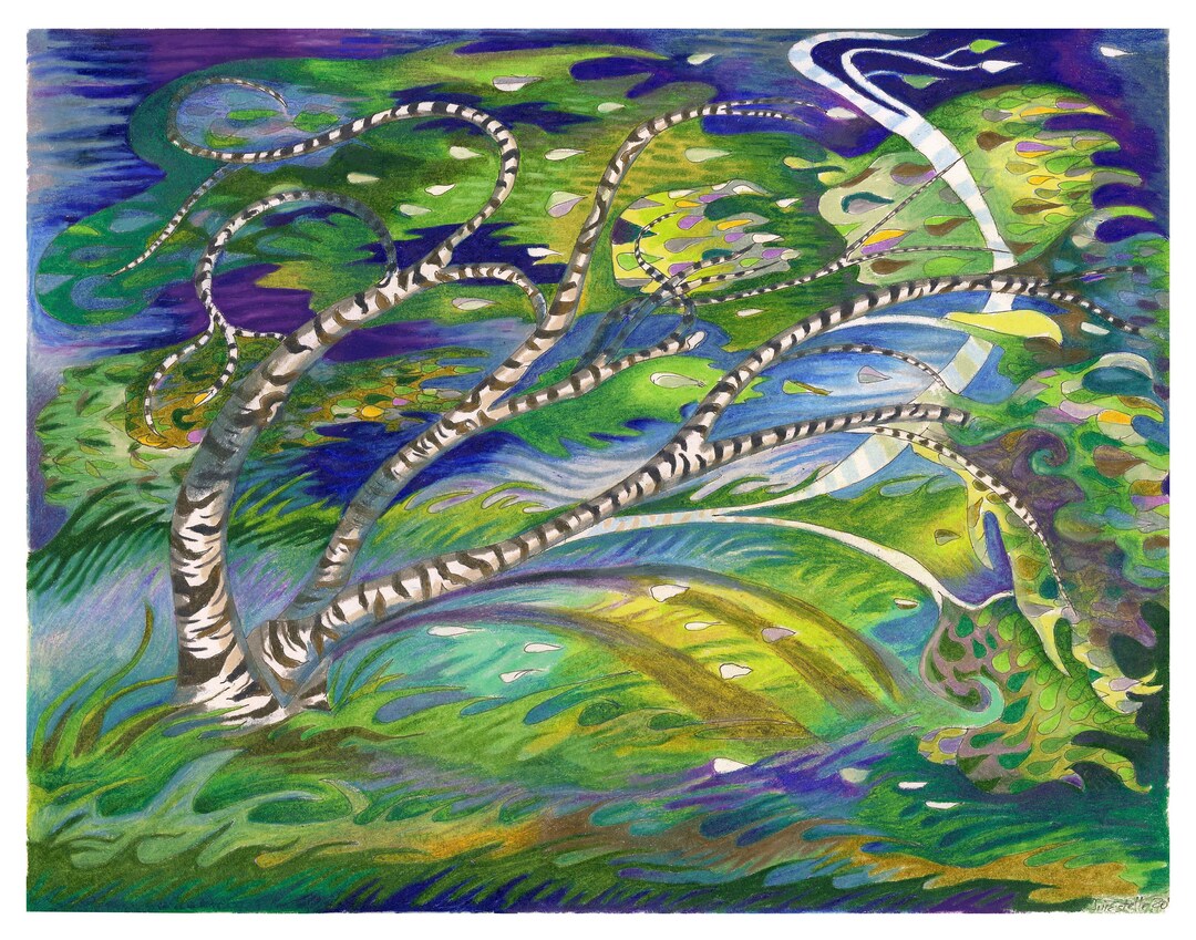 Iowa Birch (derecho) Fine Art Landscape Print - Etsy