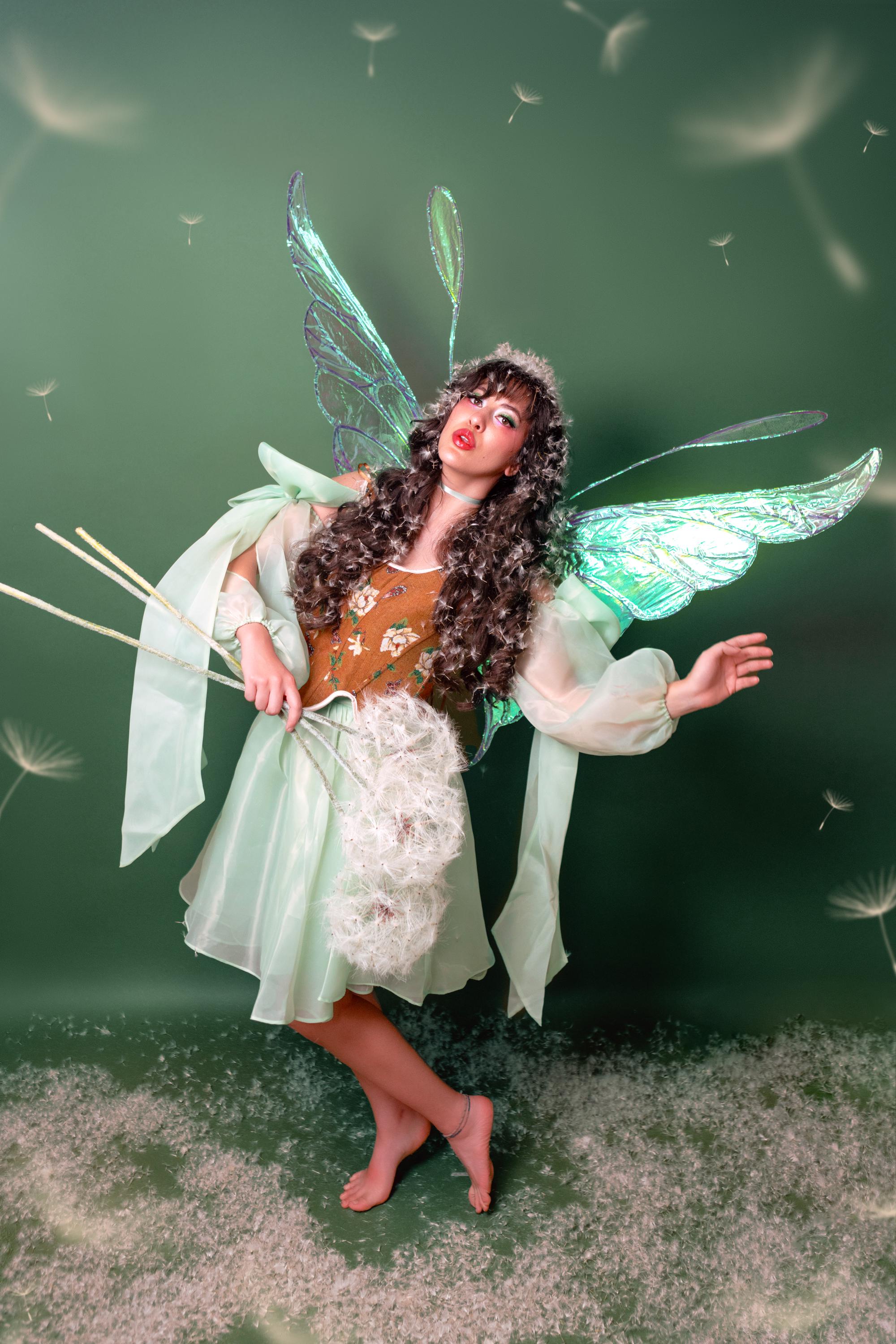 DIY Fairy Wings Template | Ren Faire or Cosplay Fae Costume - Etsy
