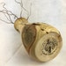 Carbis Bay Cankered Ash No. 1 Turned Large Wooden Vase Hand - Etsy