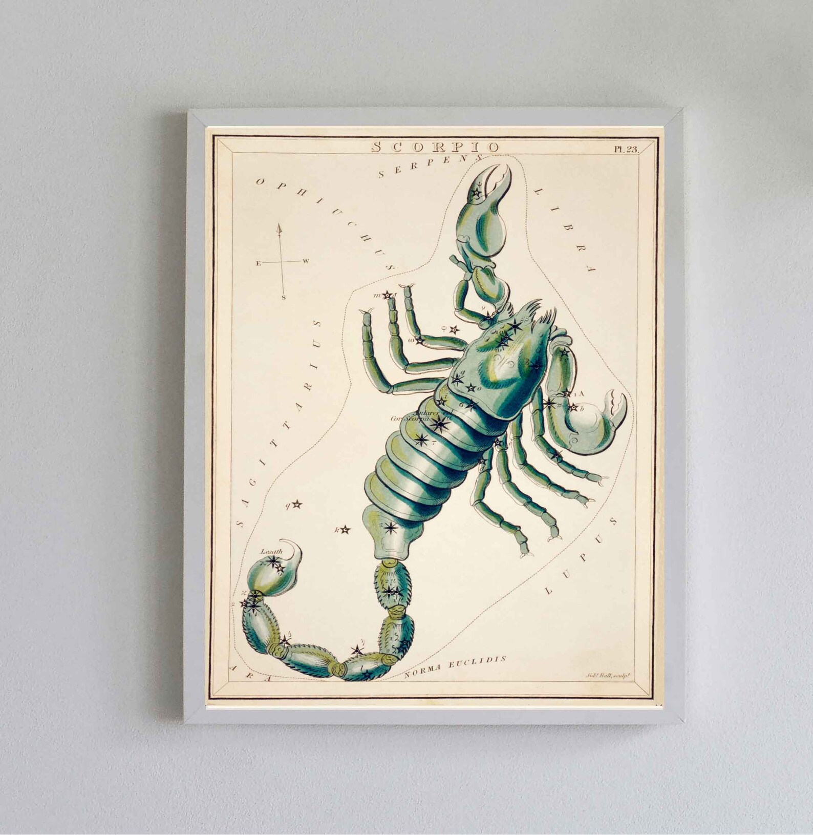 Scorpio Art Print Zodiac Star Chart October Wall Art Gift - Etsy