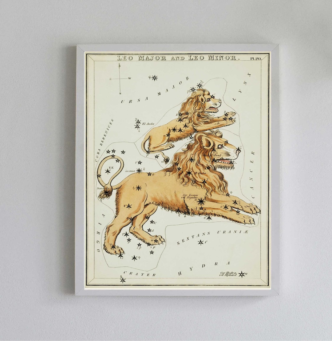 Vintage Leo Constellation Art Print: Lion Zodiac Astrology Chart - Etsy