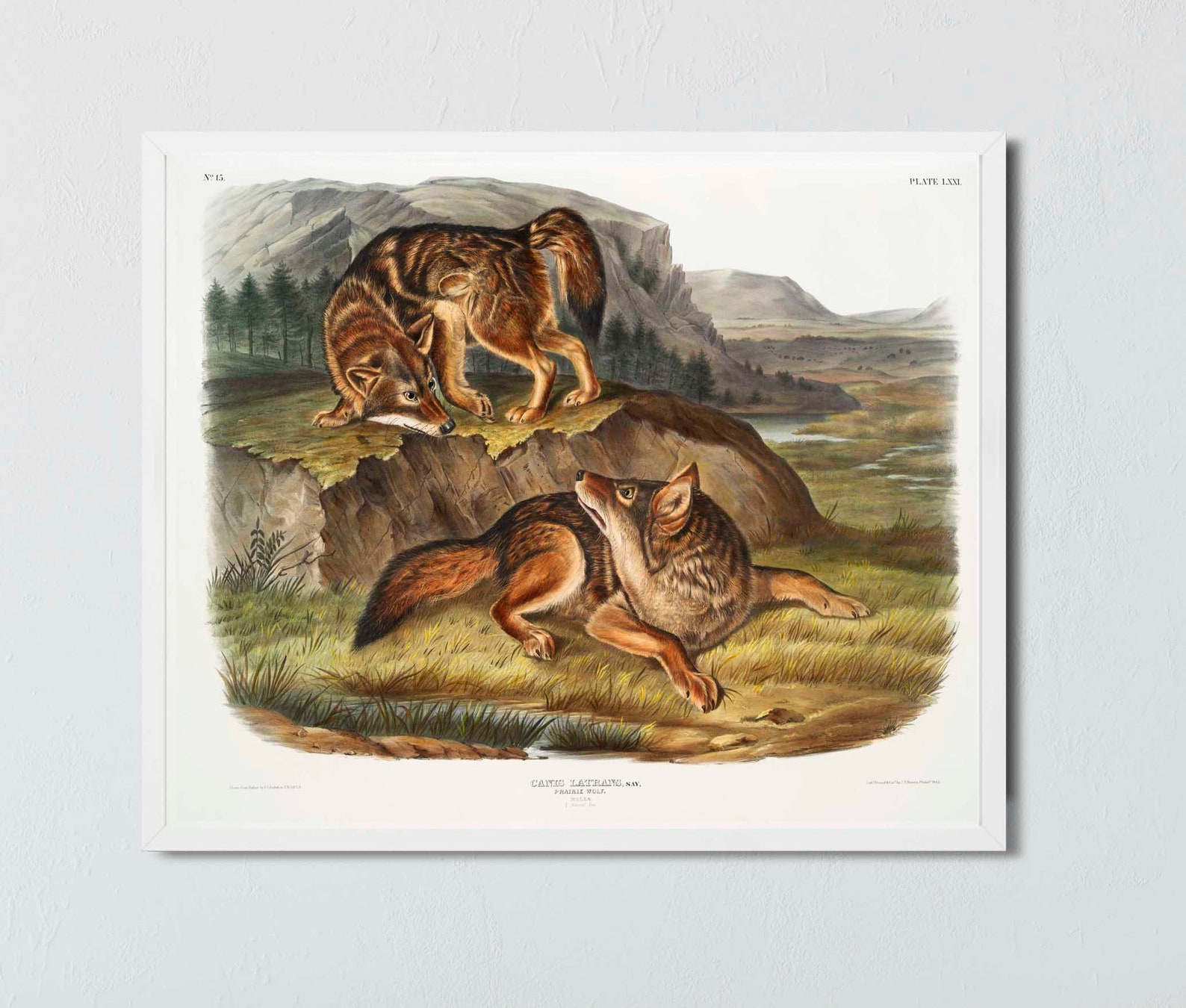 Wolves Print Set Wolf Wall Art Wild West Art Two Print | Etsy