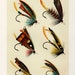 Set of Fly Fishing Art Prints Orvis Salmon Flies Print Set Vintage ...
