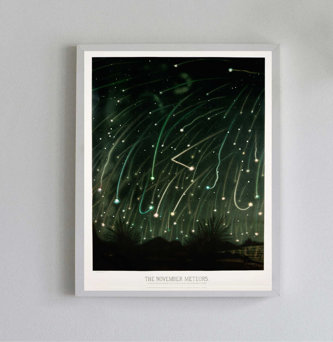 Vintage November Meteor Shower Art Print: Celestial Night Sky - Etsy