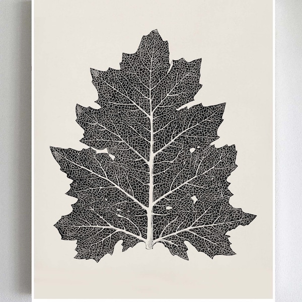 Leaf a Print - Etsy