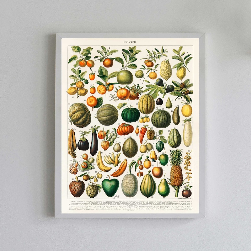 French Vegetables - Etsy