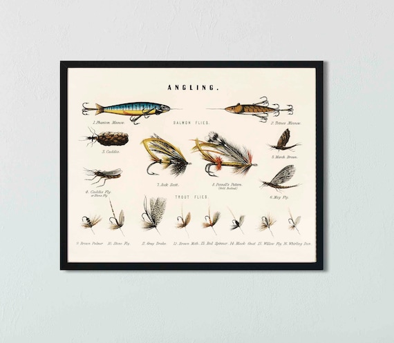 Fly Fishing Flies Chart