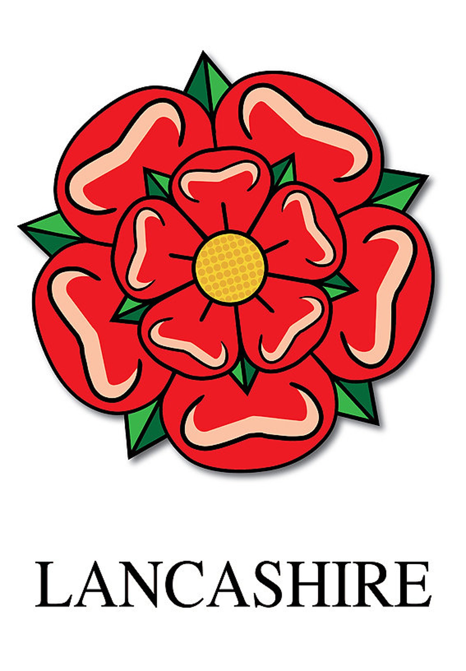 Lancashire Red Rose Vinyl Banner | Etsy