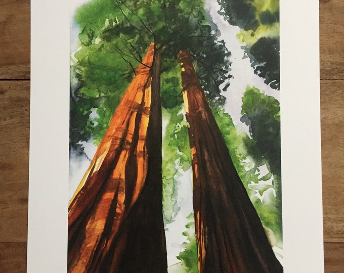 Watercolor Sequoias, Sequoia Print, Sequoias Painting, Sequoia National ...