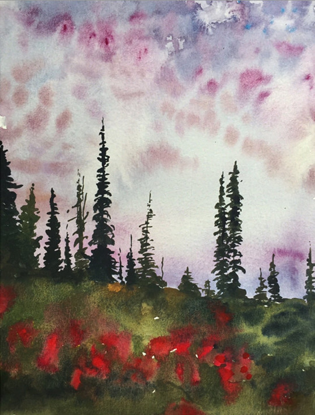 Pacific Northwest Watercolor, Alpine Wilderness, Pine Tree Meadow ...