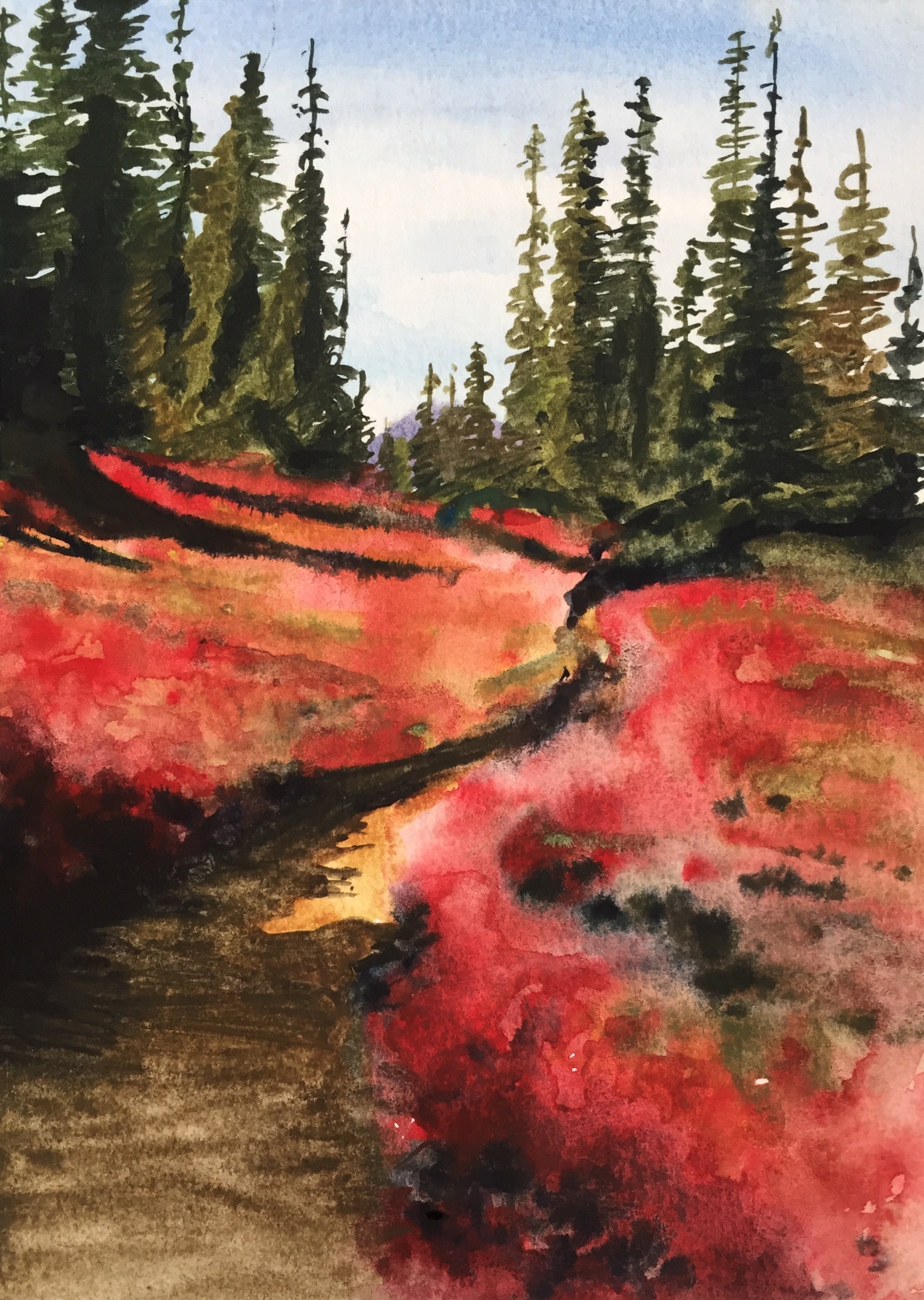 Pacific Northwest Watercolor, Cascades Watercolor, Wildflower ...