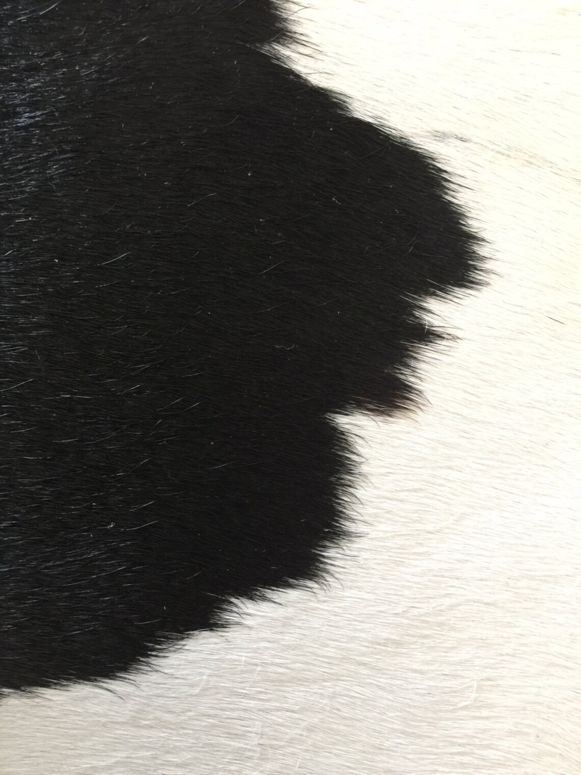 Cowhide Rug - Extra-large, Black and White, Nguni Cow Hide - African ...