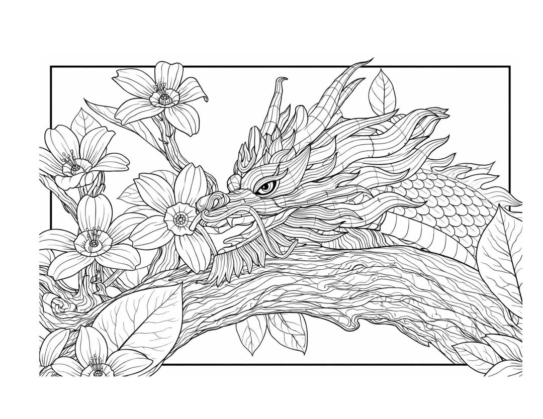 3 Dragon Coloring Pages – Fantasy Art, Adult Coloring Book (PDF, JPG ...