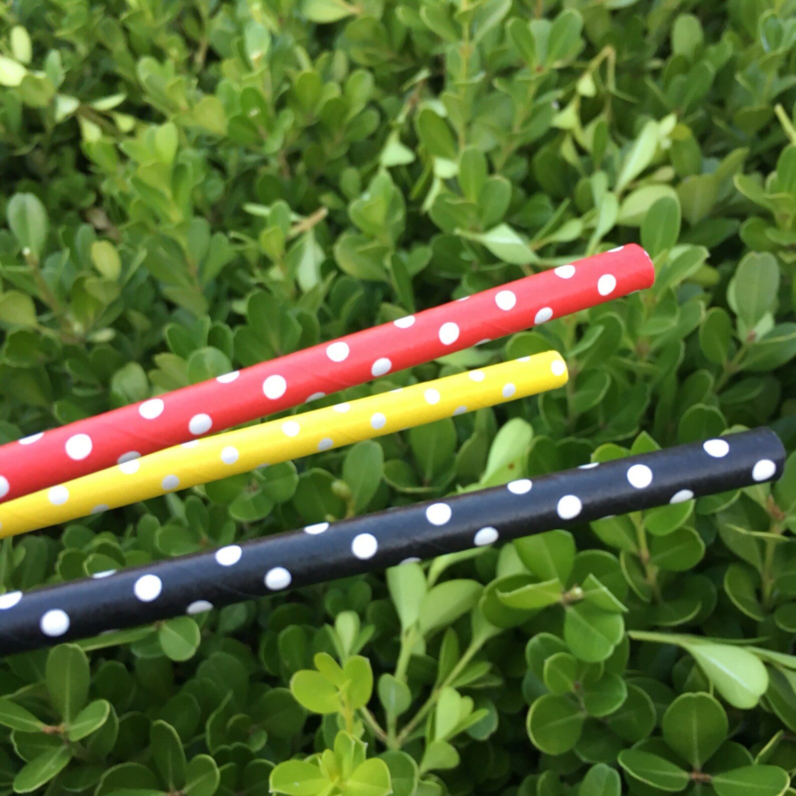 Mickey Mouse Paper Straws - Etsy