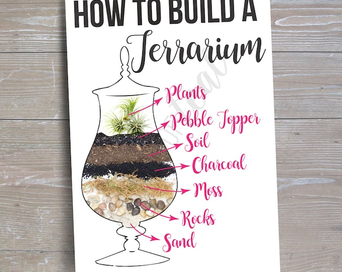 How to Build a Terrarium Cheat Sheet // INSTANT DOWNLOAD // - Etsy