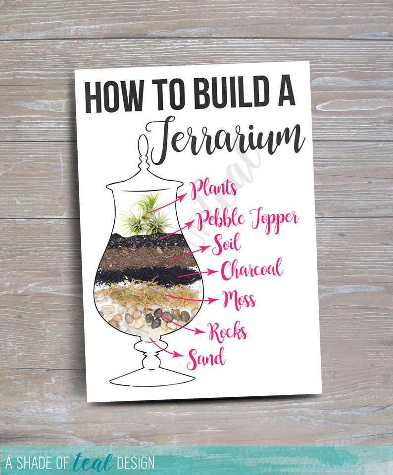 How to Build a Terrarium Cheat Sheet // INSTANT DOWNLOAD // Party Decor ...