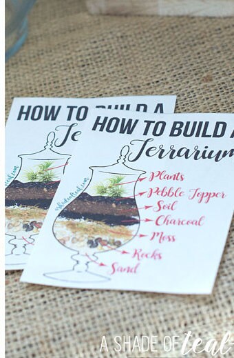 How to Build a Terrarium Cheat Sheet // INSTANT DOWNLOAD // Party Decor ...