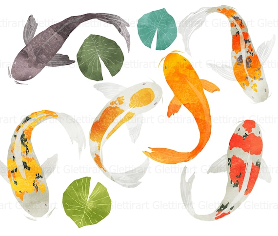 Koi Fish Clip Art Red And White Koi Fish Red And White Koi Fish