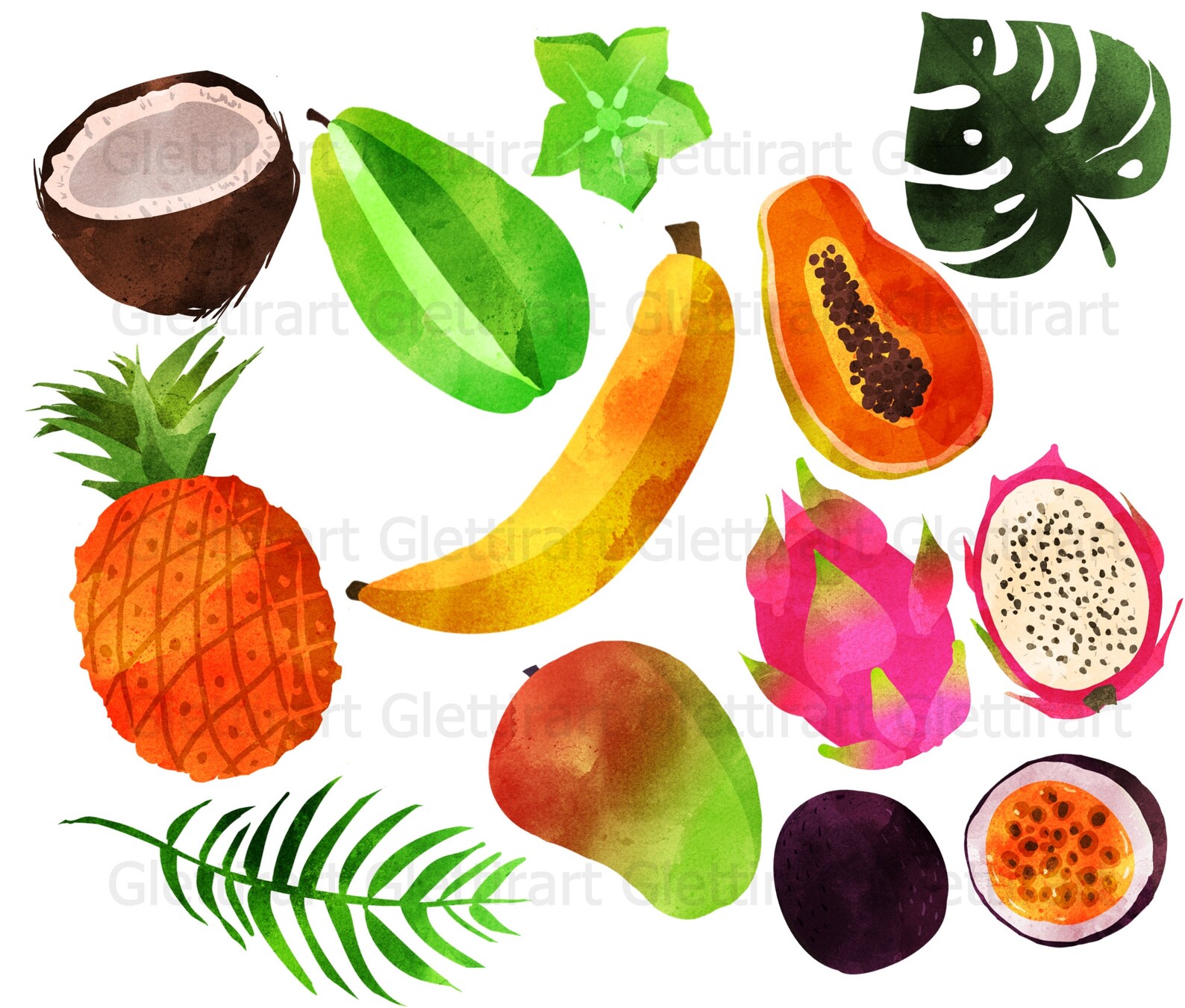 Watercolor Tropical Fruit Clipart Instant Download Tropical | Etsy