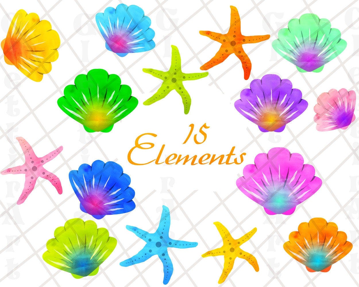 Seashell Clipart Seashell Clip Art Beach Clipart for - Etsy