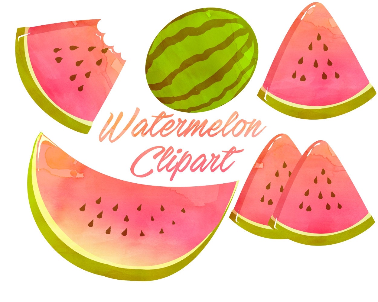 Watermelon Plant Clipart