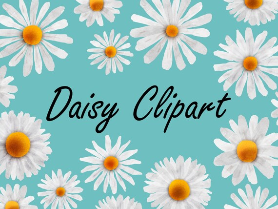 Cute Daisy Watercolor Clipart Instant Download for - Etsy
