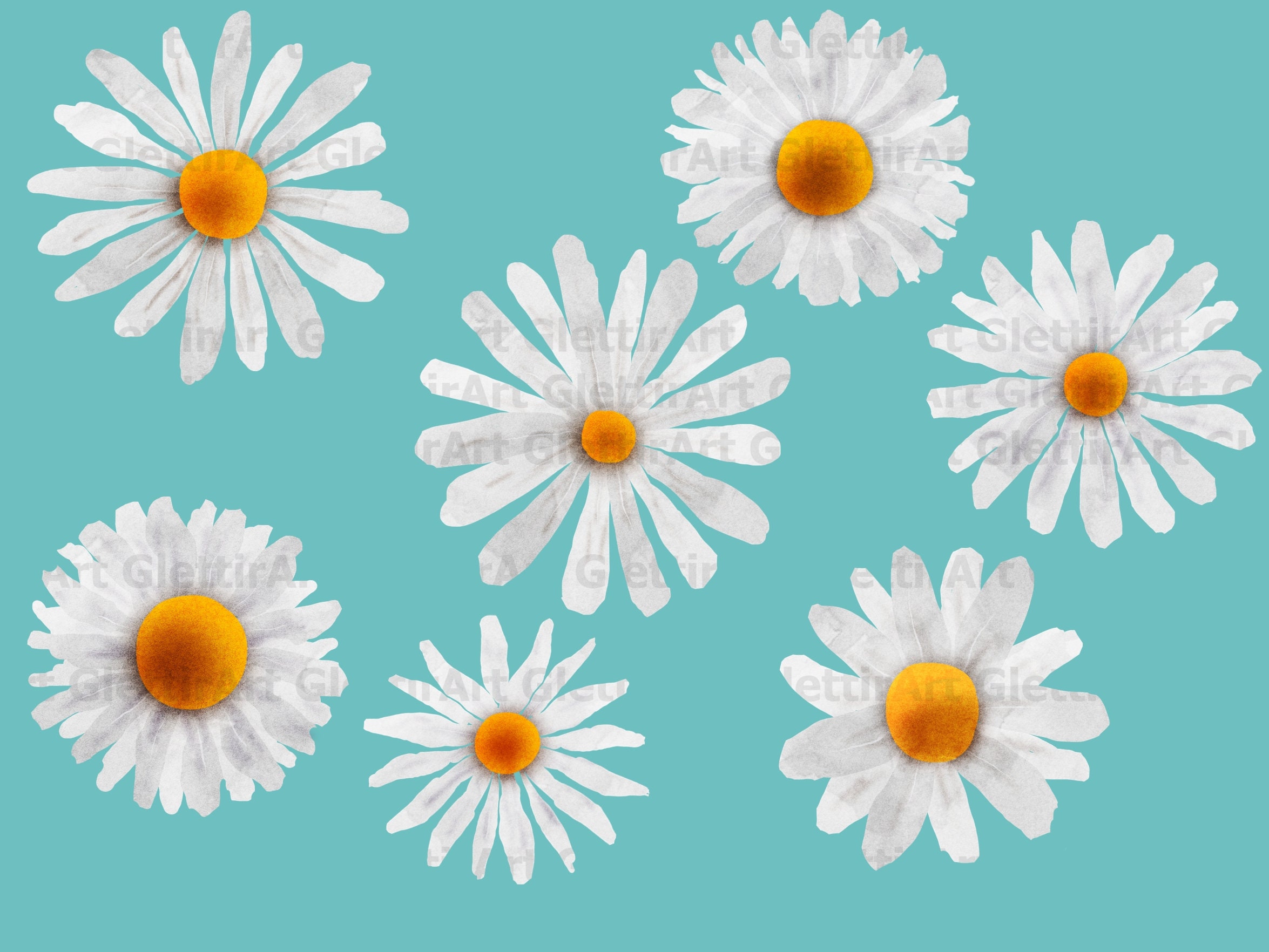 Cute Daisy Watercolor Clipart, Instant Download, for Commercial and ...