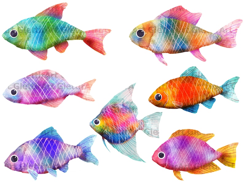 Colorful Fish Watercolor Clipart, Fish Graphics, Fish Clip Art for ...