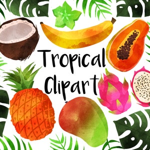 Watercolor Tropical Fruit Clipart, Instant Download, Tropical Clip Art ...