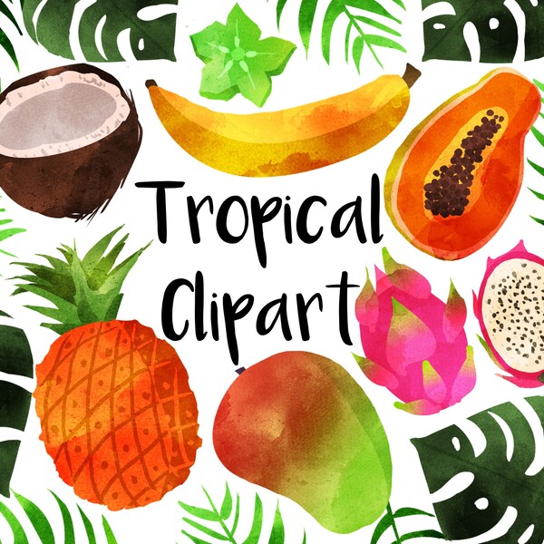 Dragon Fruit Clip Art - Etsy