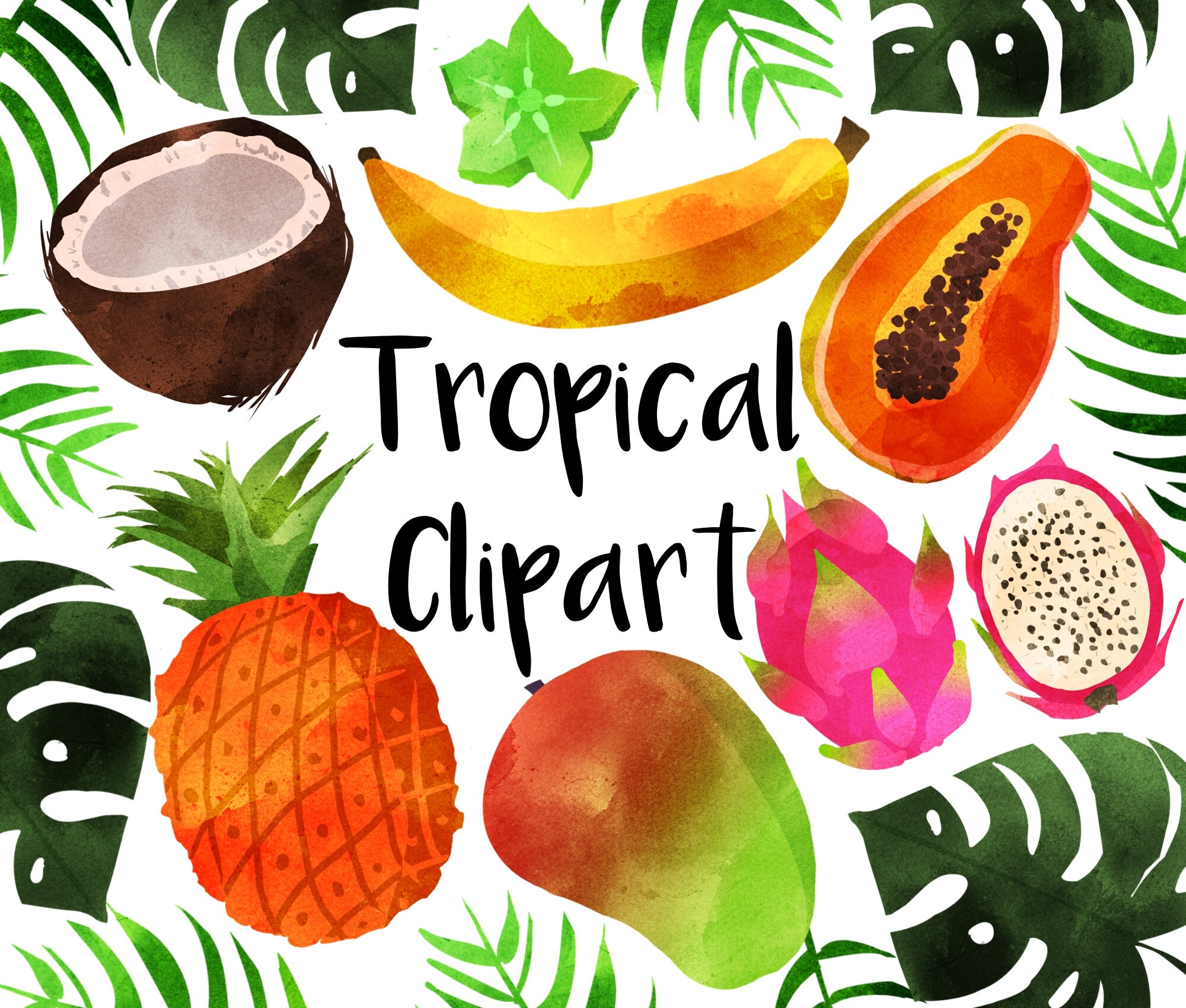 Watercolor Tropical Fruit Clipart, Instant Download, Tropical Clip Art ...