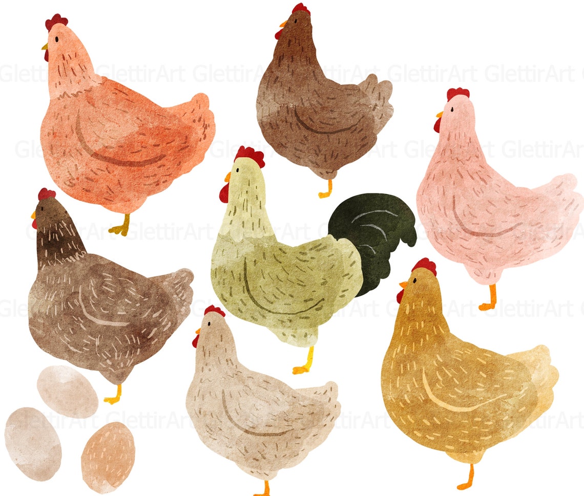 Chicken Watercolor Clipart Instant Download Hen Clip Art - Etsy